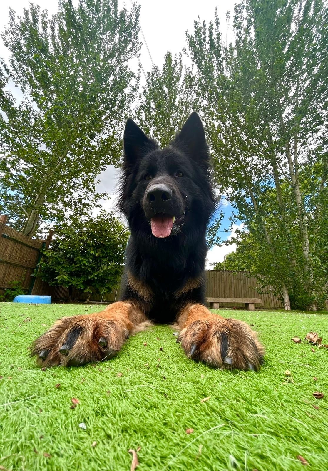 Contact Us – Southend Farm